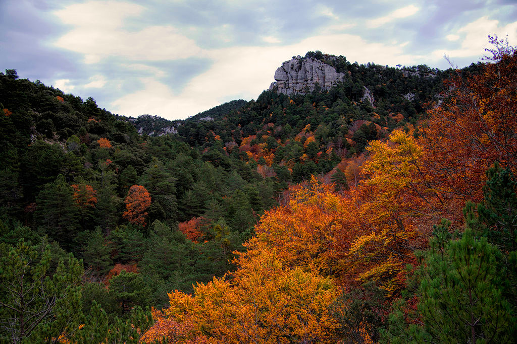 10 fagedes espectaculars per anar d'excursió amb nens i nenes - Cases ...